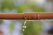 Mister Landscaper Drip Irrigation and Micro Spray. Drip Irrigation - 1/ ...