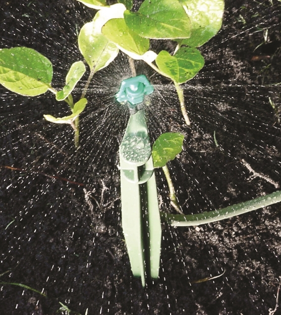 Mister Landscaper Drip Irrigation and Micro Spray. Micro Spray - Small ...