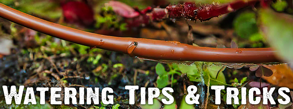 Mister Landscaper Drip Irrigation and Micro Spray. Watering Tips